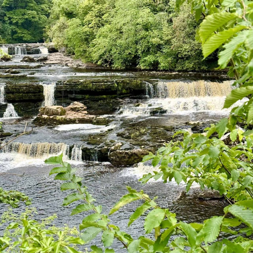Aysgarth Falls Walk: A Family-Friendly Circular Walk in Yorkshire