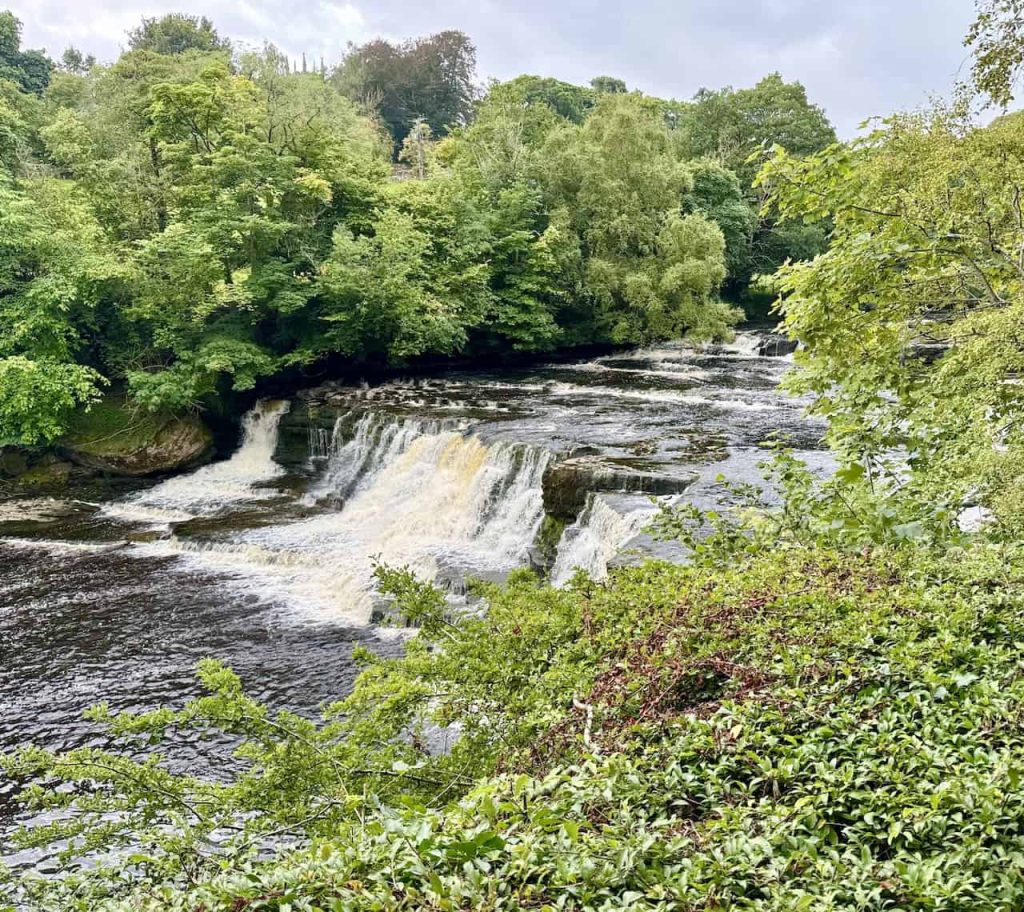 Aysgarth Falls Walk: A Family-Friendly Circular Walk in Yorkshire
