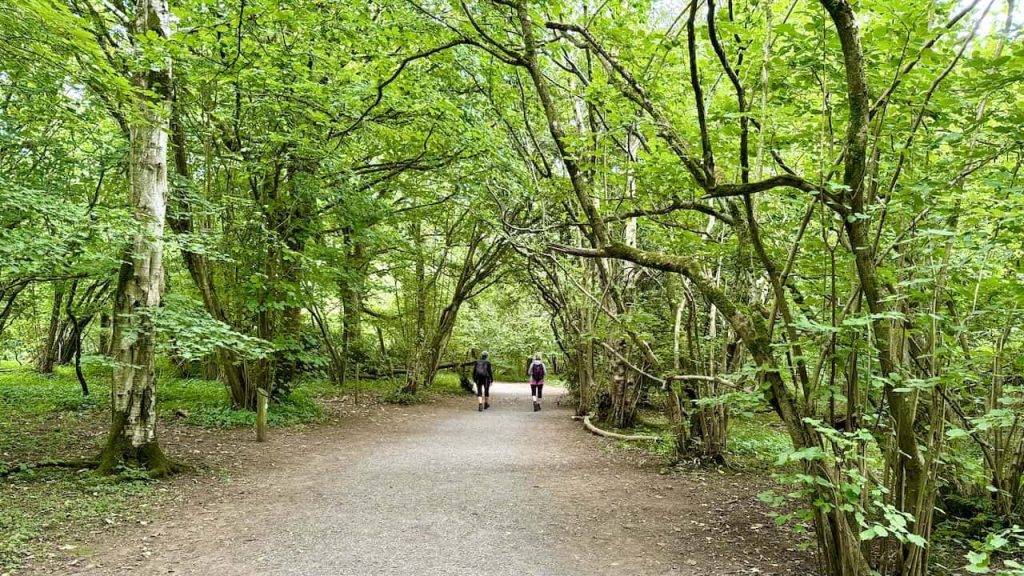 Aysgarth Falls Walk: A Family-Friendly Circular Walk in Yorkshire