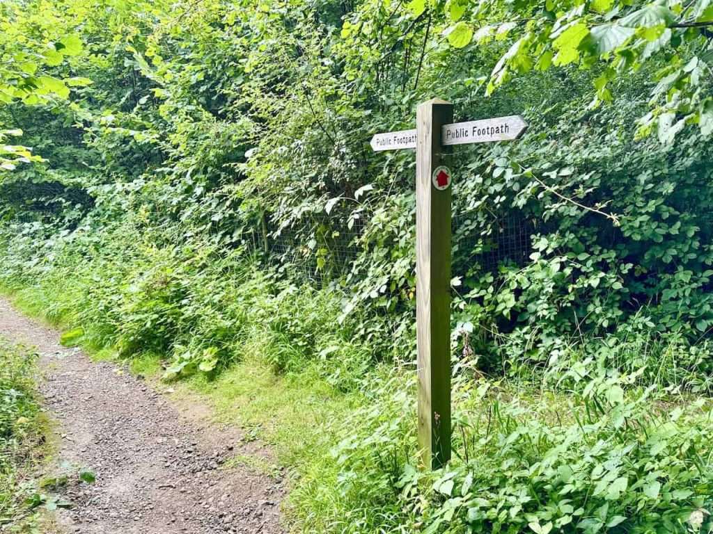Aysgarth Falls Walk: A Family-Friendly Circular Walk in Yorkshire