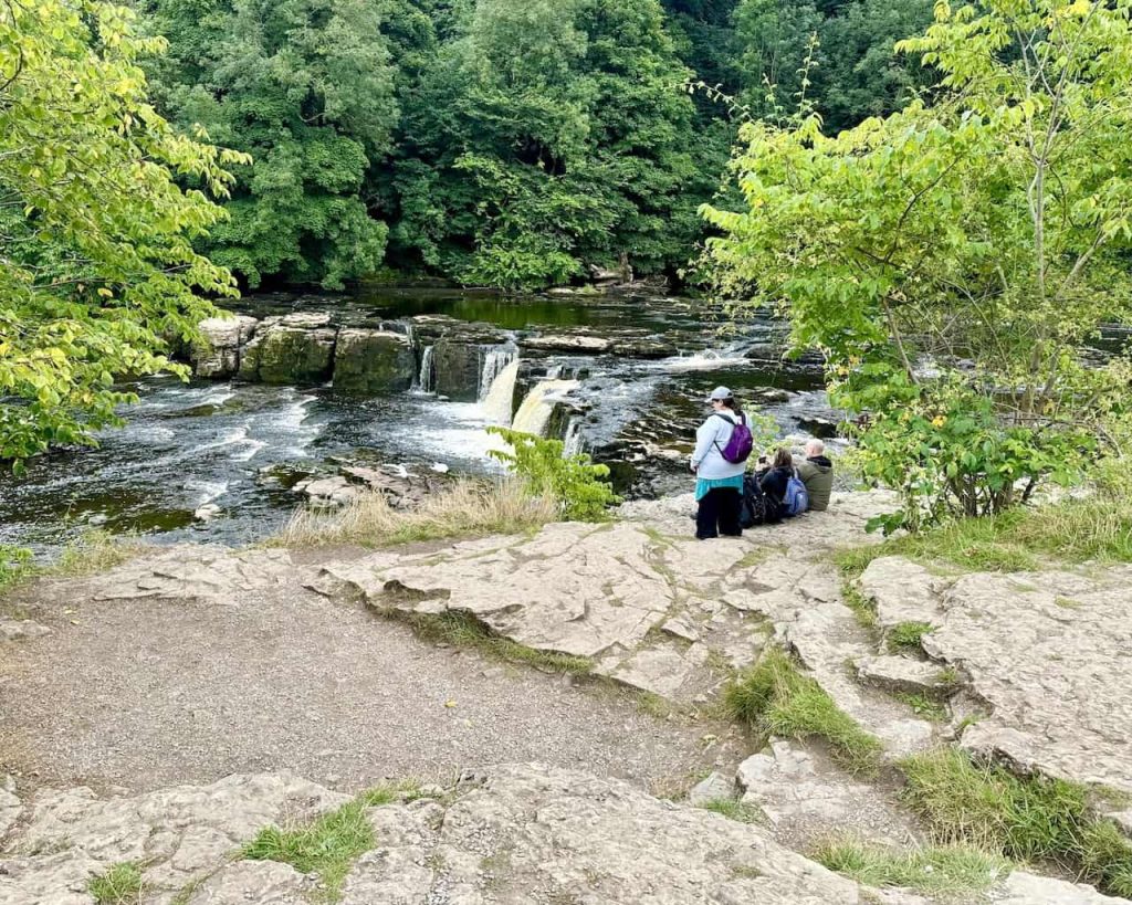 Aysgarth Walk: Exploring Aysgarth Falls and Historic Castle Bolton