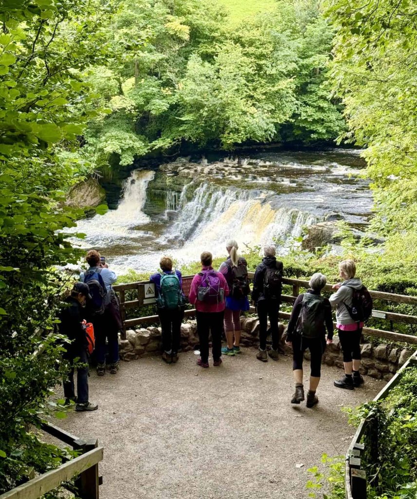 Aysgarth Walk: Exploring Aysgarth Falls and Historic Castle Bolton
