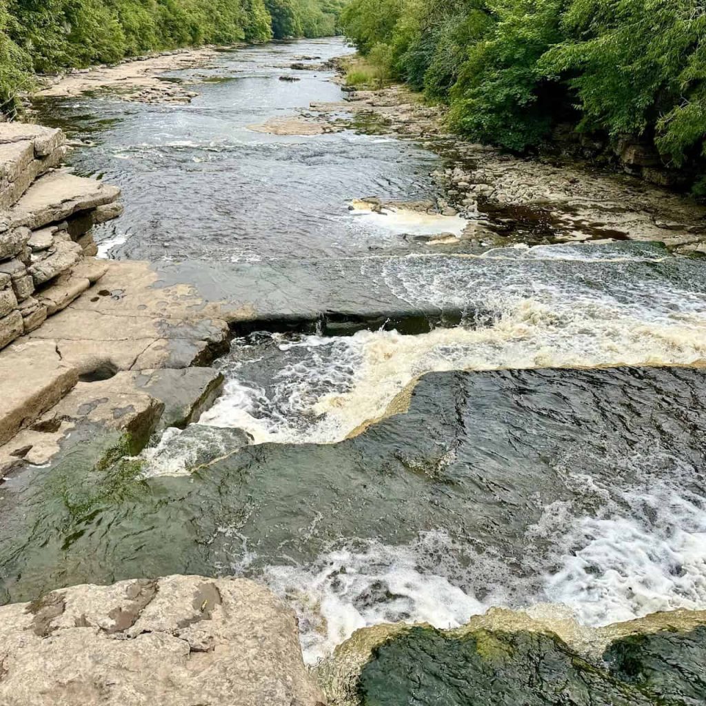 Aysgarth Walk: Exploring Aysgarth Falls and Historic Castle Bolton
