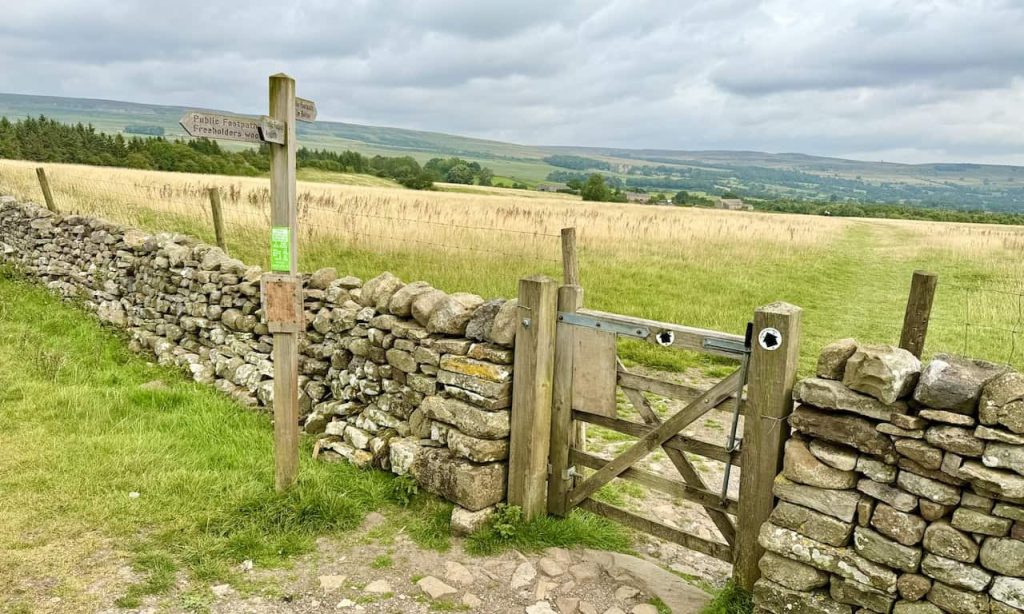 Aysgarth Walk: Exploring Aysgarth Falls and Historic Castle Bolton