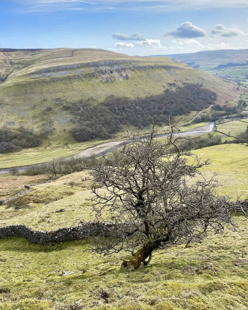 Muker to Keld Walk: A Stunning 6-Mile Trek Through Swaledale