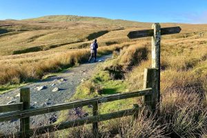 Whernside Circular Walk: Explore the Trail from Ribblehead Viaduct