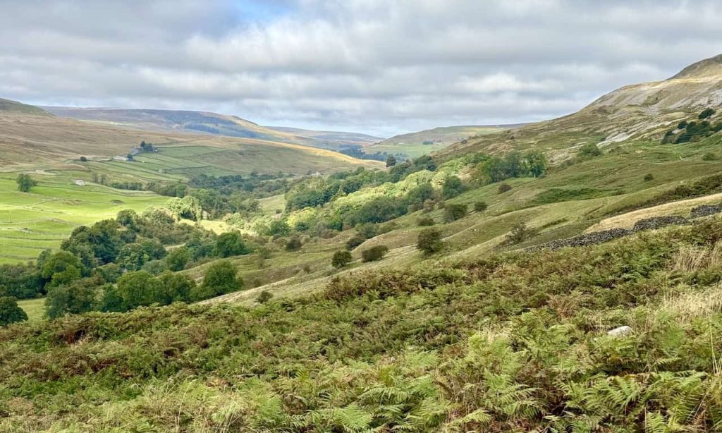 Fremington Edge: Walk from Reeth to Langthwaite via Scenic Trails