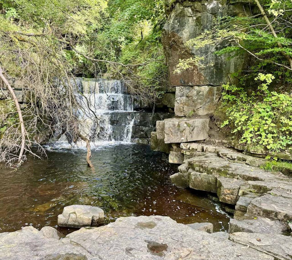 High Force Walk: Circular Including Low Force and Bleabeck Force
