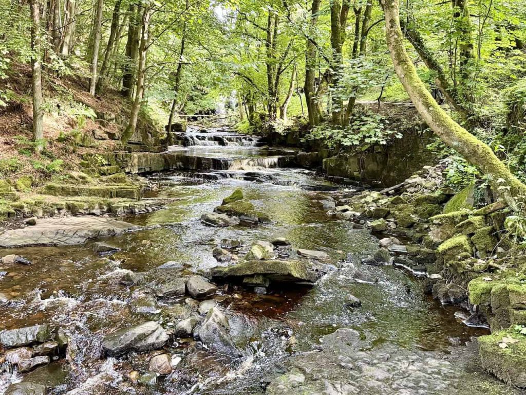 High Force Walk: Circular Including Low Force and Bleabeck Force