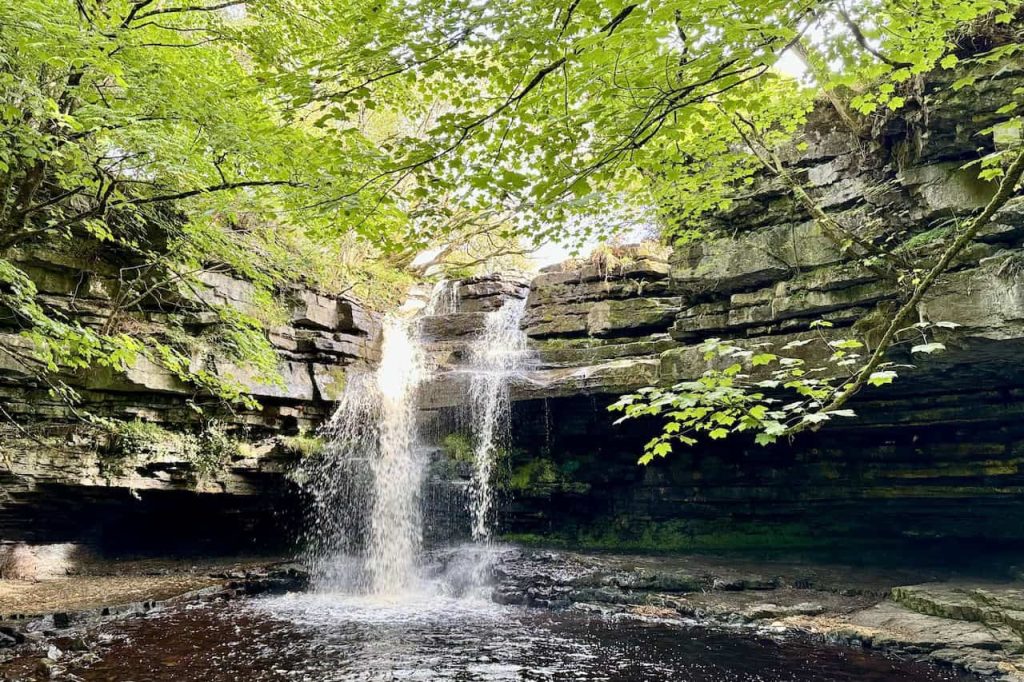 High Force Walk: Circular Including Low Force and Bleabeck Force