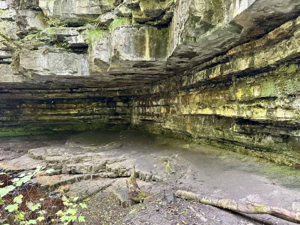 High Force Walk: Circular Including Low Force and Bleabeck Force