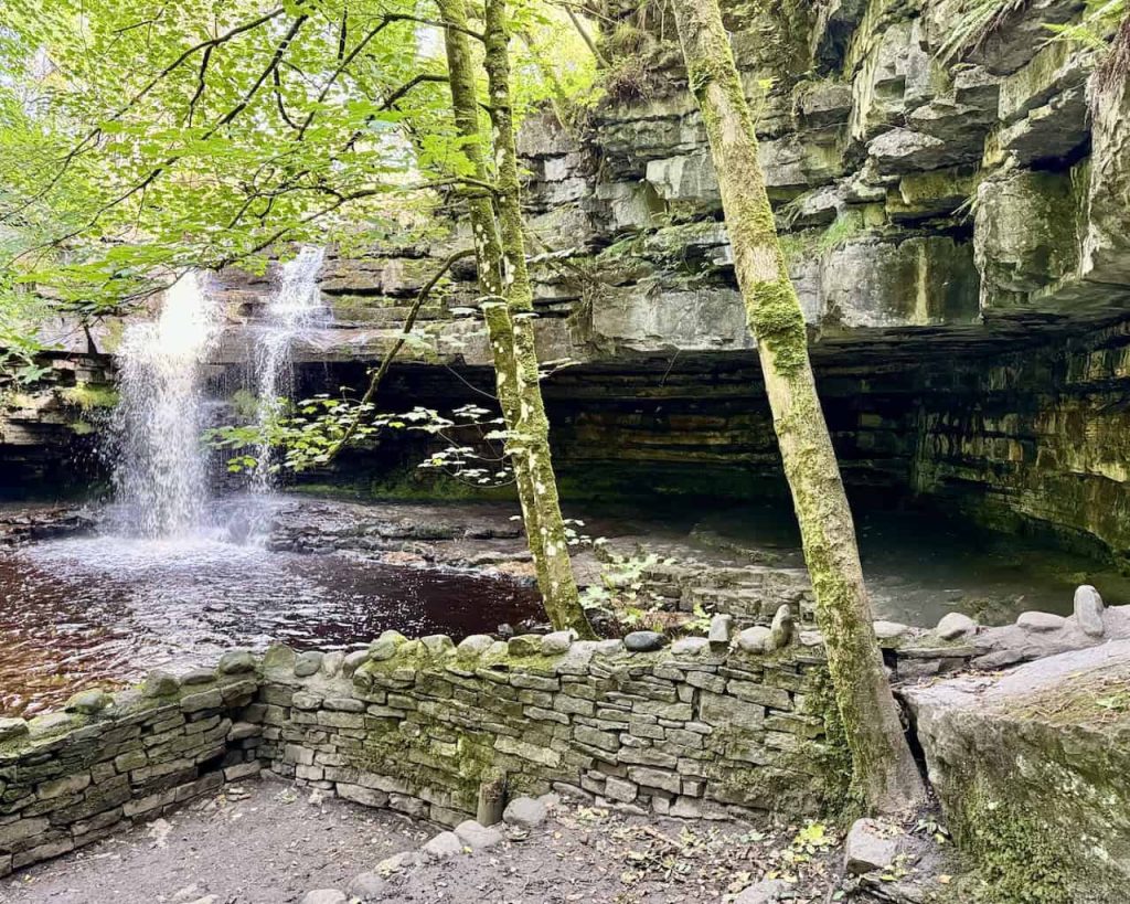 High Force Walk: Circular Including Low Force and Bleabeck Force