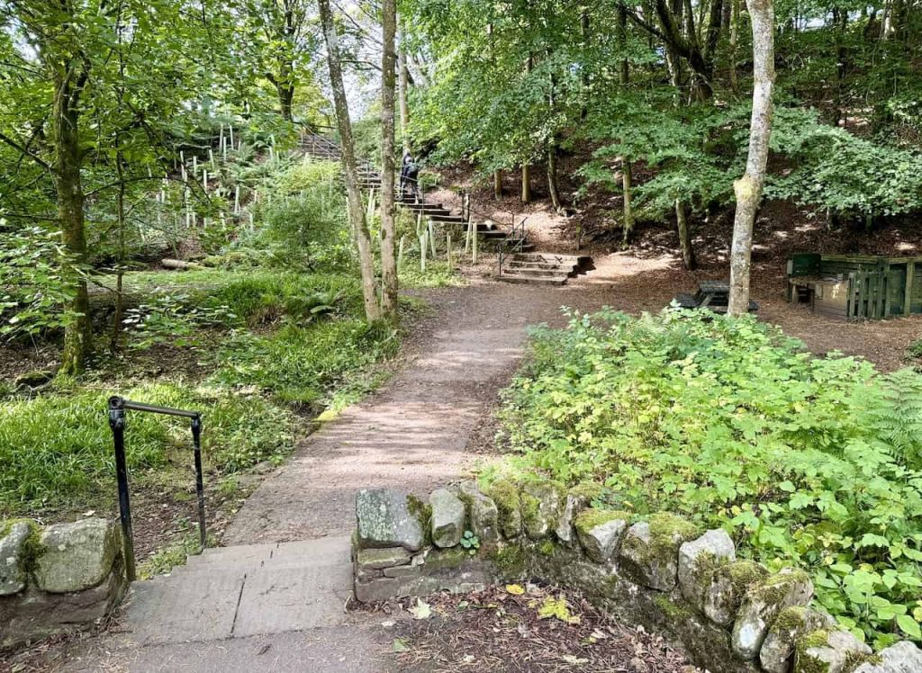 High Force Walk: Circular Including Low Force and Bleabeck Force