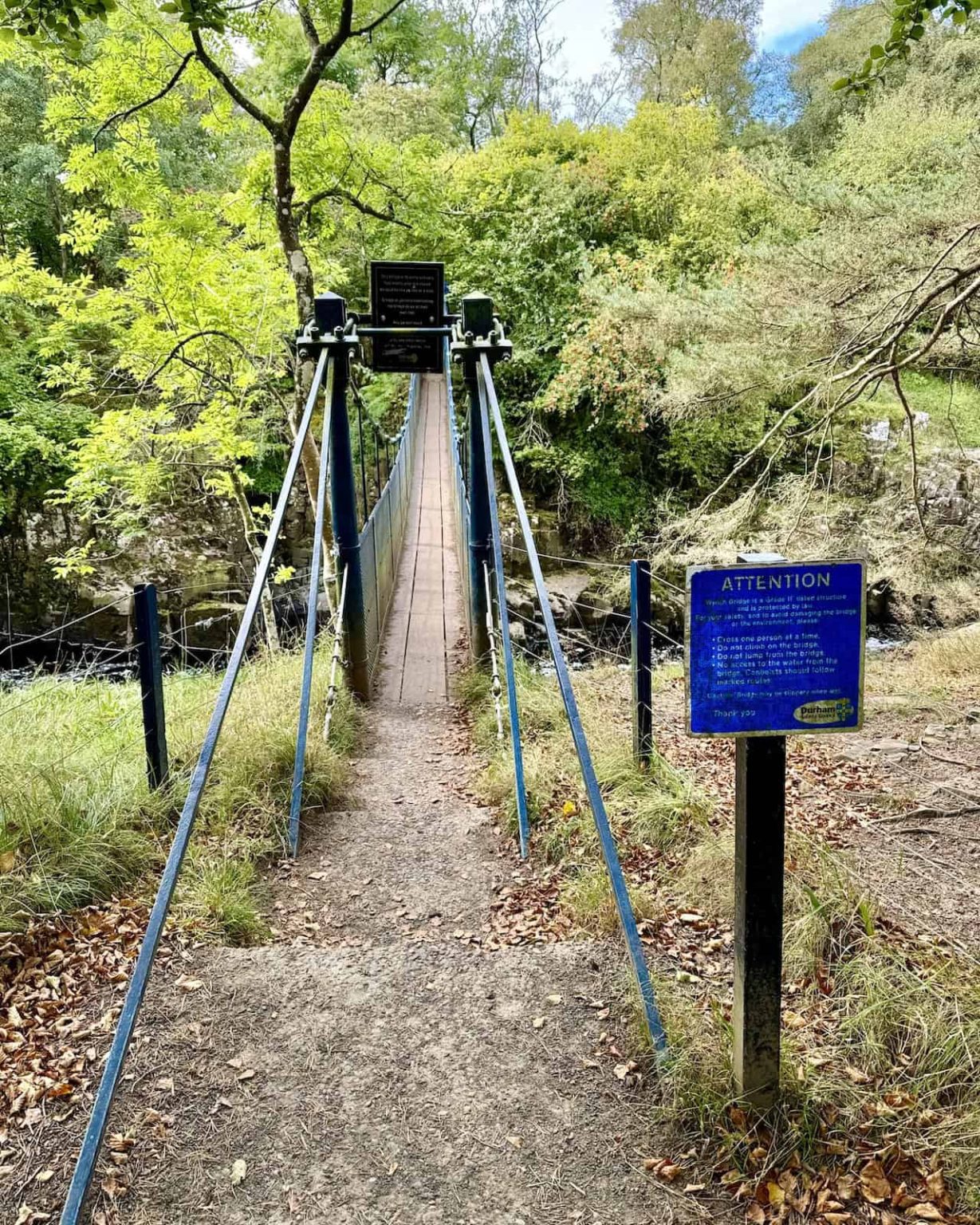 High Force Walk: Circular Including Low Force and Bleabeck Force