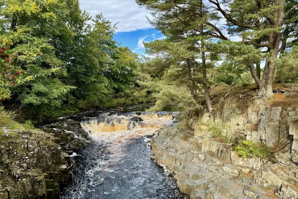 High Force Walk: Circular Including Low Force and Bleabeck Force