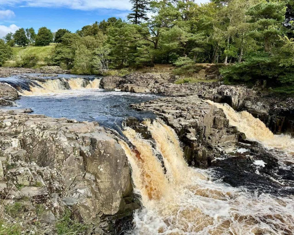 High Force Walk: Circular Including Low Force and Bleabeck Force
