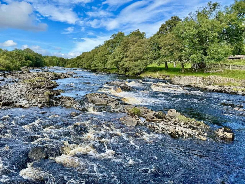 High Force Walk: Circular Including Low Force and Bleabeck Force