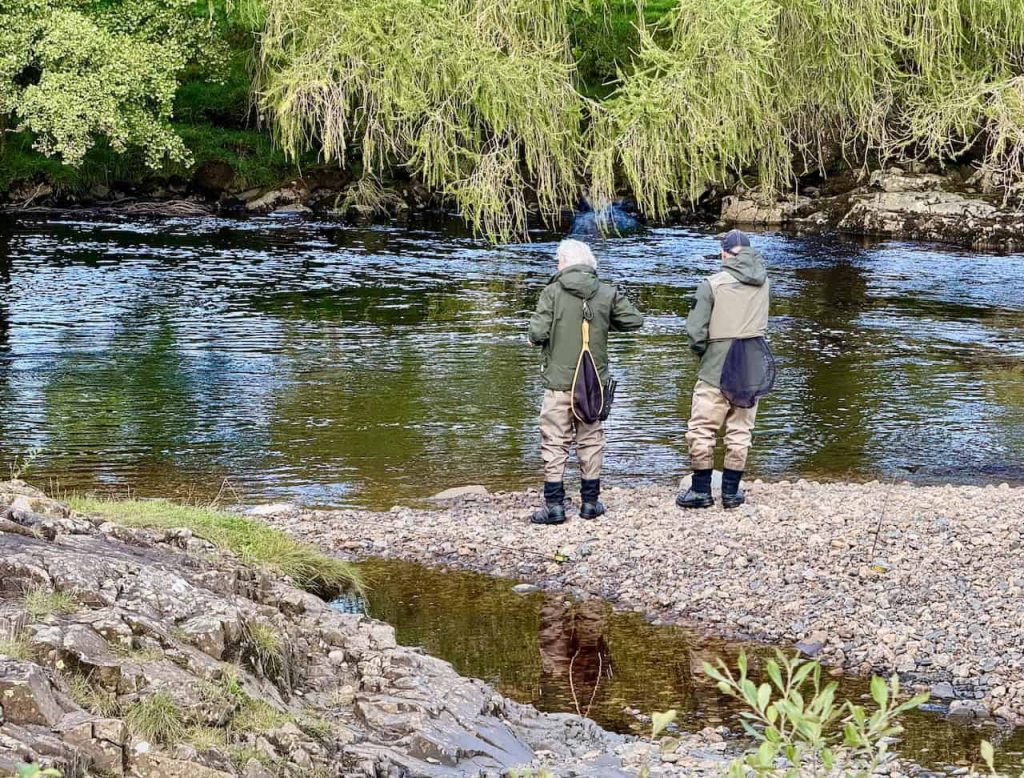 High Force Walk: Circular Including Low Force and Bleabeck Force