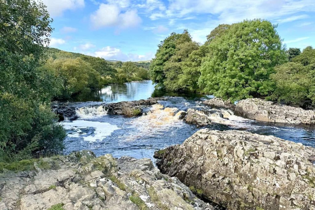High Force Walk: Circular Including Low Force and Bleabeck Force