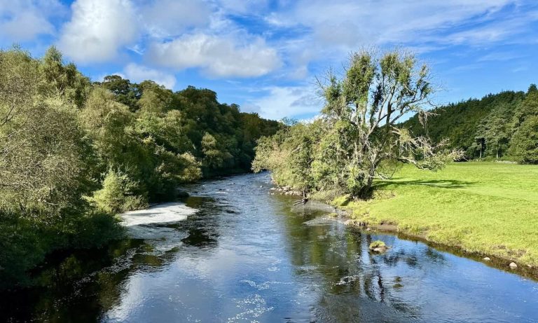 High Force Walk: Circular Including Low Force and Bleabeck Force