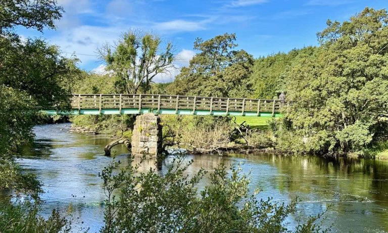 High Force Walk: Circular Including Low Force and Bleabeck Force