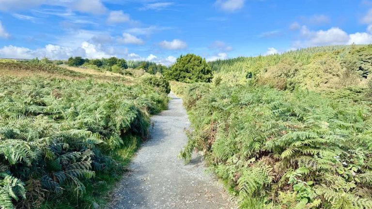 High Force Walk: Circular Including Low Force and Bleabeck Force