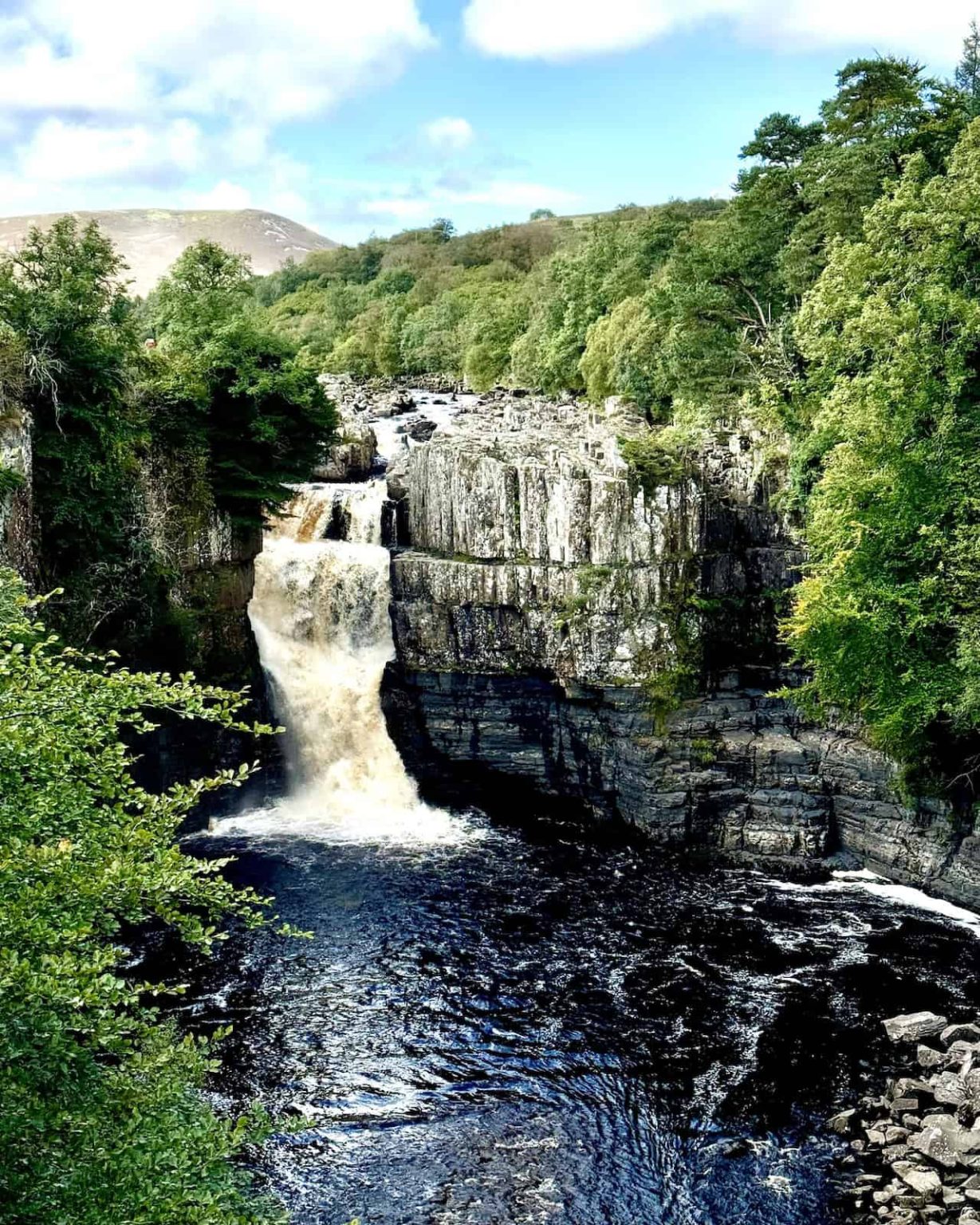 High Force Walk: Circular Including Low Force and Bleabeck Force