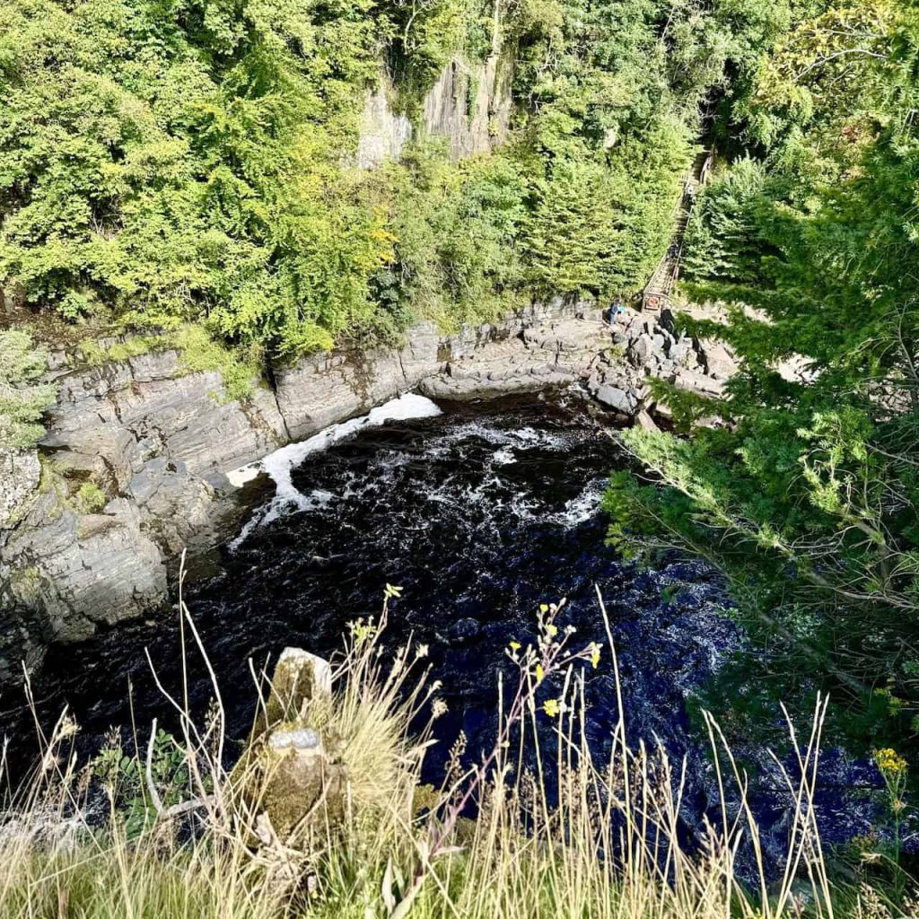 High Force Walk: Circular Including Low Force and Bleabeck Force