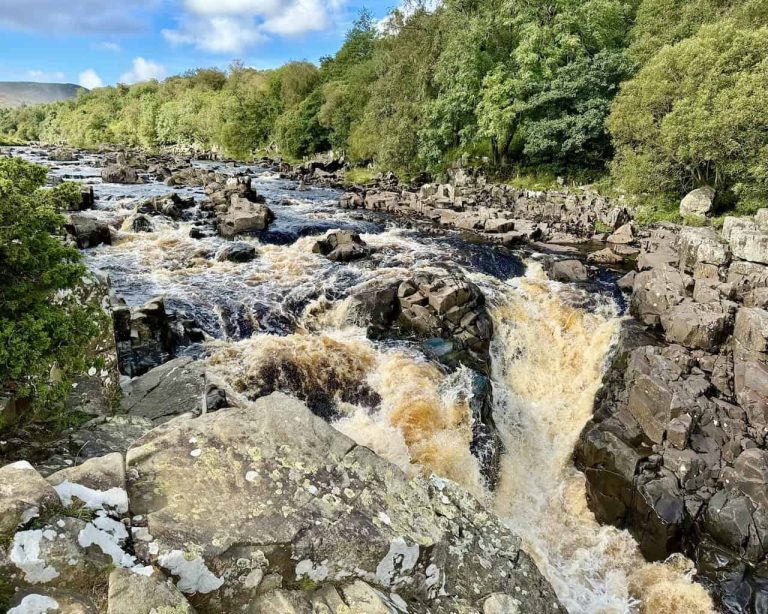 High Force Walk: Circular Including Low Force and Bleabeck Force