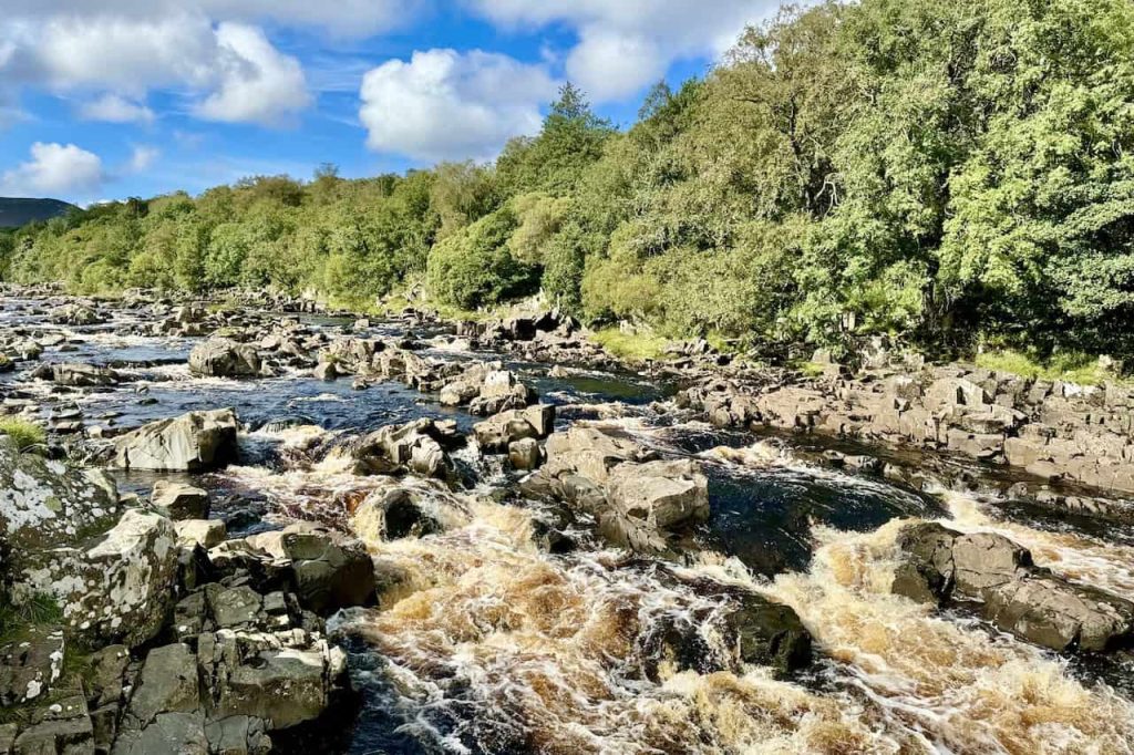 High Force Walk: Circular Including Low Force and Bleabeck Force