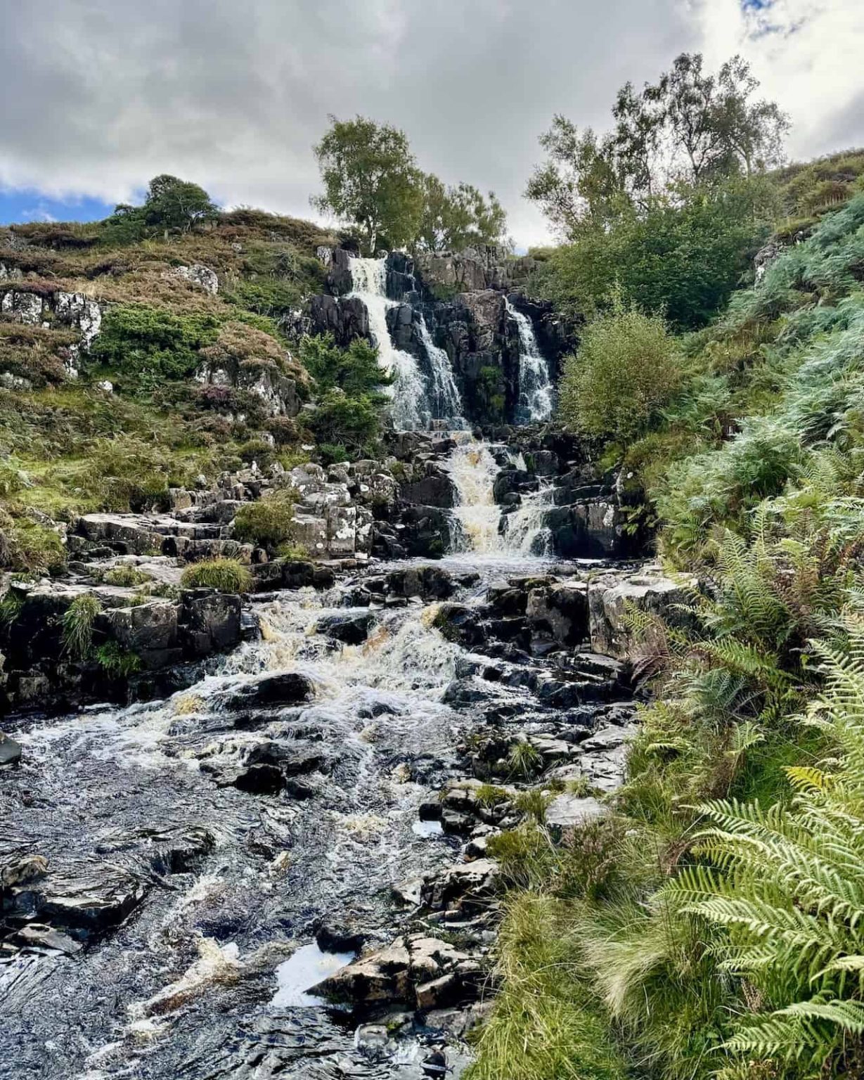 High Force Walk: Circular Including Low Force and Bleabeck Force