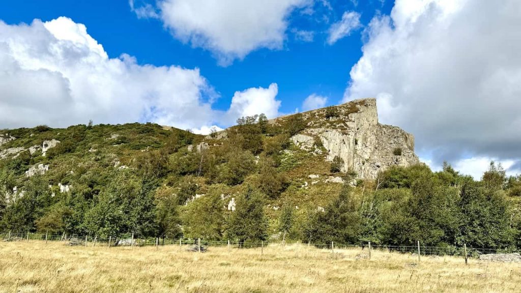 High Force Walk: Circular Including Low Force and Bleabeck Force