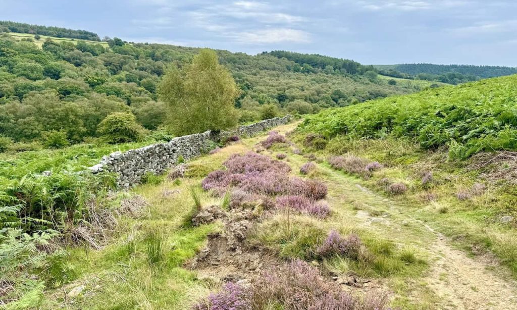 Rosedale Abbey Walk: Enjoy Lastingham and the Rosedale Valley
