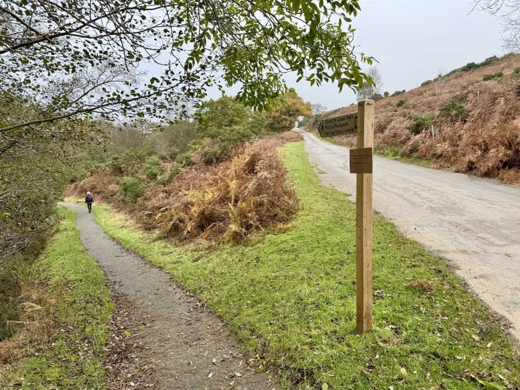 Falling Foss Walk: Explore Waterfalls, Woodlands, and Littlebeck