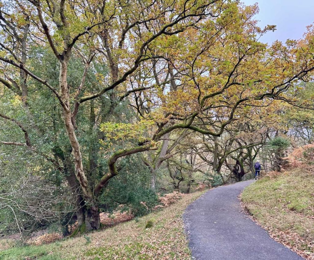 Falling Foss Walk: Explore Waterfalls, Woodlands, and Littlebeck