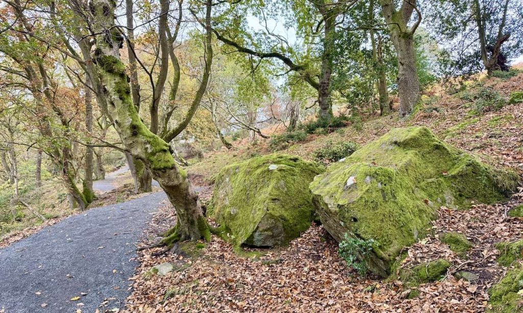 Falling Foss Walk: Explore Waterfalls, Woodlands, and Littlebeck