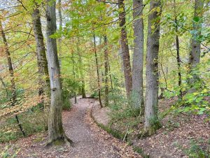 Falling Foss Walk: Explore Waterfalls, Woodlands, and Littlebeck