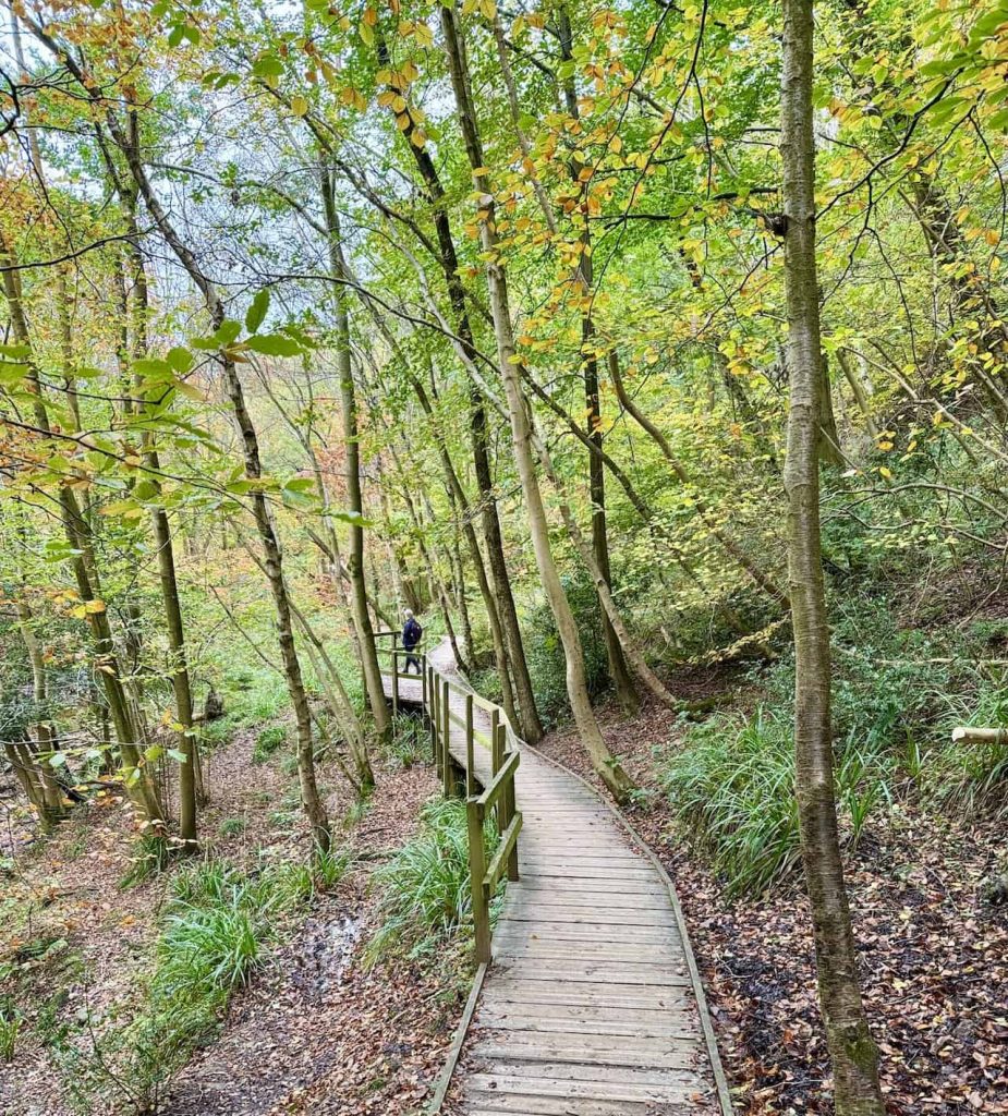 Falling Foss Walk: Explore Waterfalls, Woodlands, and Littlebeck