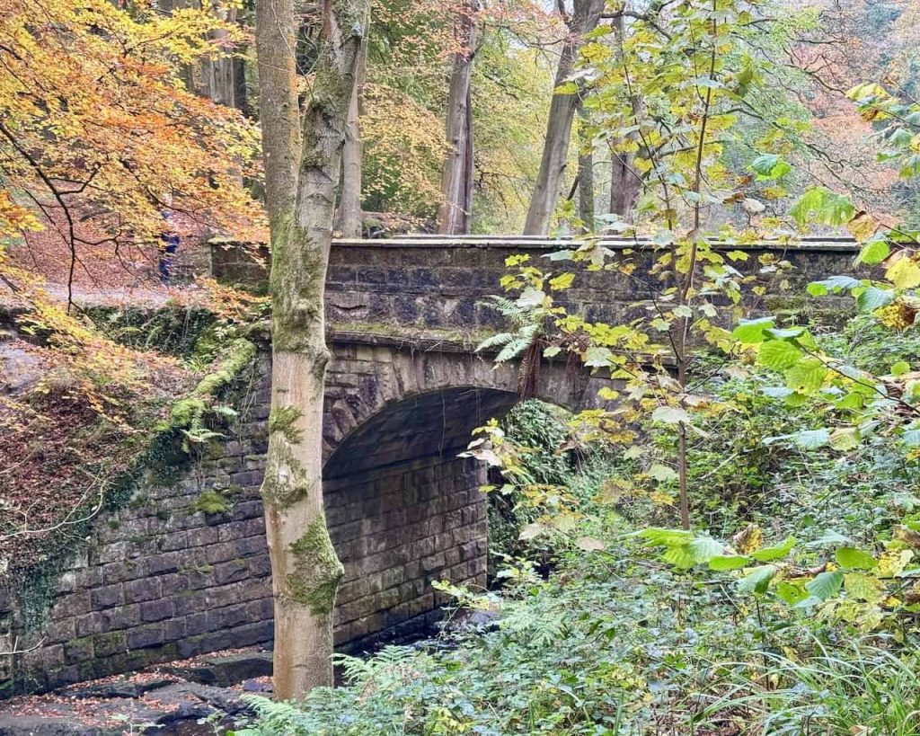 Falling Foss Walk: Explore Waterfalls, Woodlands, and Littlebeck