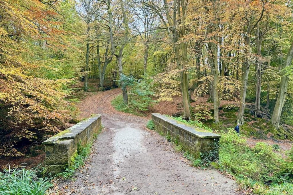 Falling Foss Walk: Explore Waterfalls, Woodlands, and Littlebeck