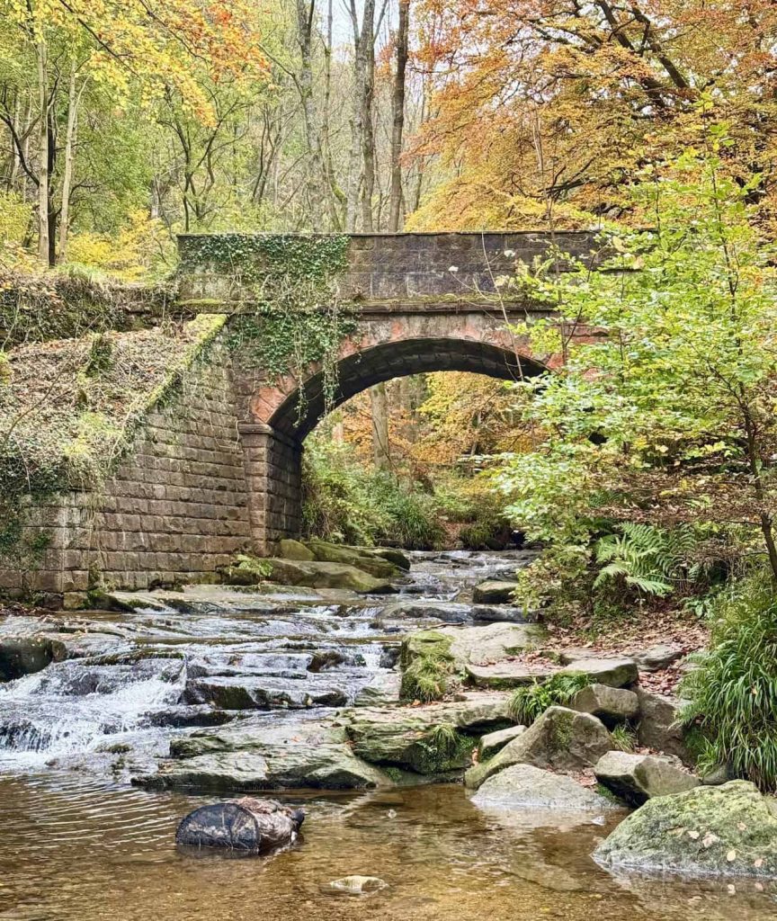 Falling Foss Walk: Explore Waterfalls, Woodlands, and Littlebeck