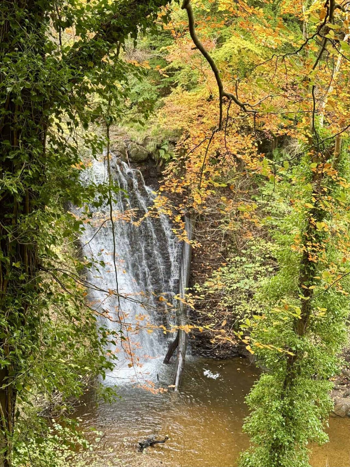 Falling Foss Walk: Explore Waterfalls, Woodlands, and Littlebeck
