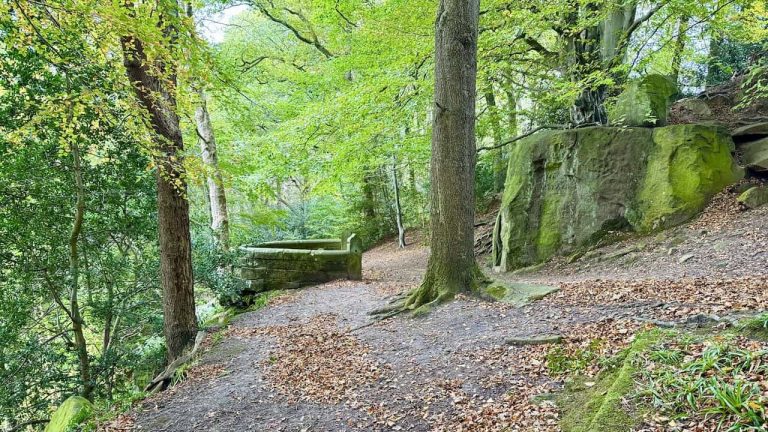 Falling Foss Walk: Explore Waterfalls, Woodlands, and Littlebeck
