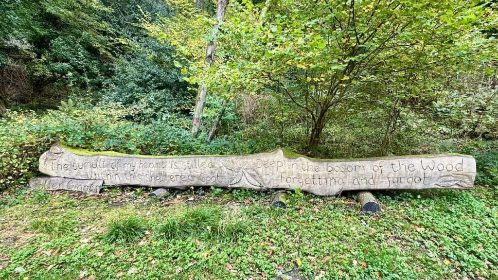 Falling Foss Walk: Explore Waterfalls, Woodlands, and Littlebeck