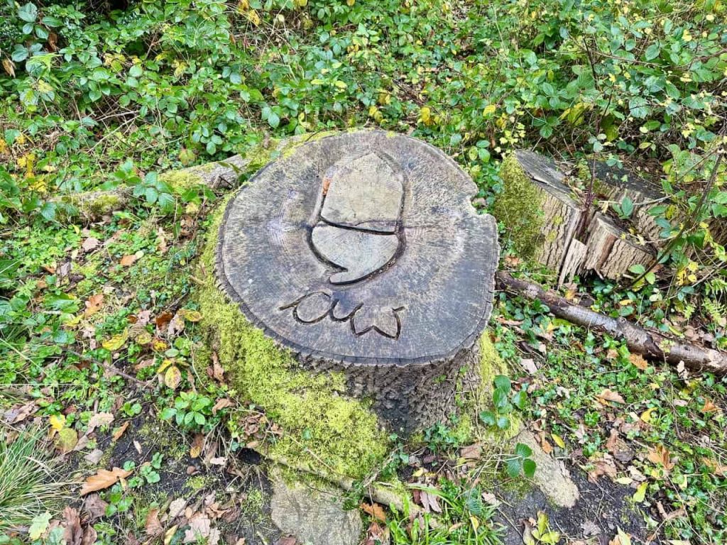 Falling Foss Walk: Explore Waterfalls, Woodlands, and Littlebeck