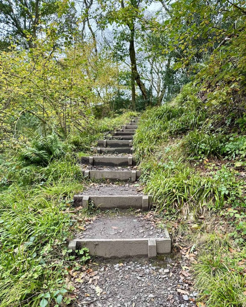 Falling Foss Walk: Explore Waterfalls, Woodlands, and Littlebeck