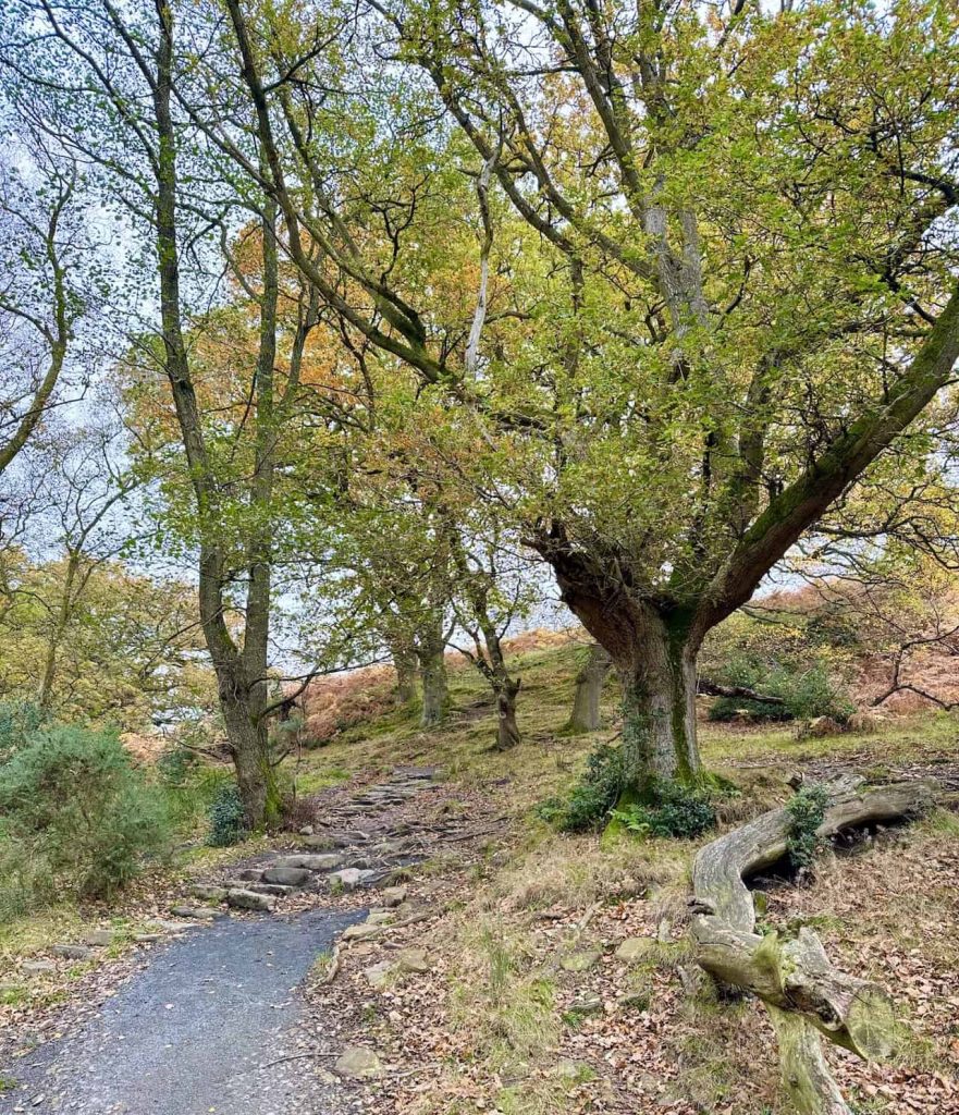 Falling Foss Waterfall Walk: Scenic North York Moors Circular Trail