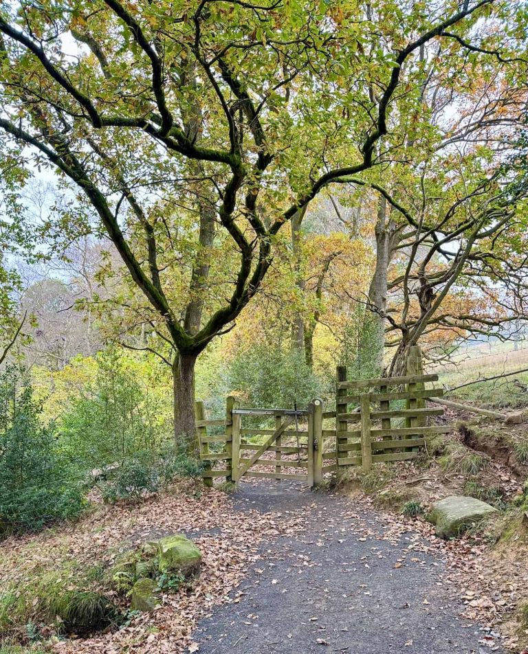 Falling Foss Waterfall Walk: Scenic North York Moors Circular Trail