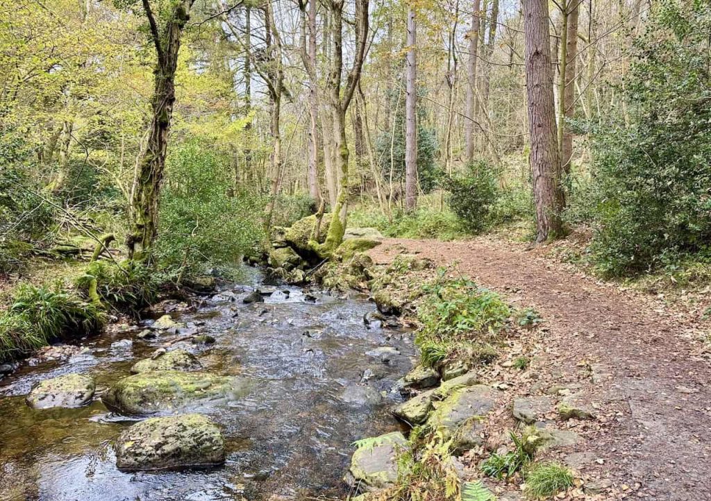 Falling Foss Waterfall Walk: Scenic North York Moors Circular Trail