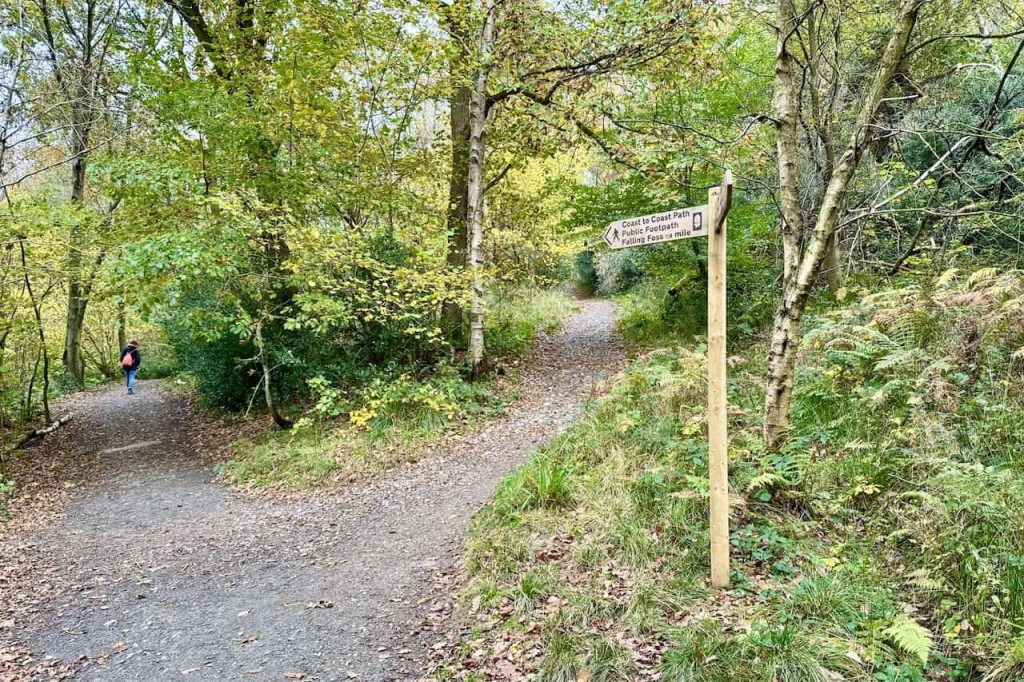 Falling Foss Waterfall Walk: Scenic North York Moors Circular Trail